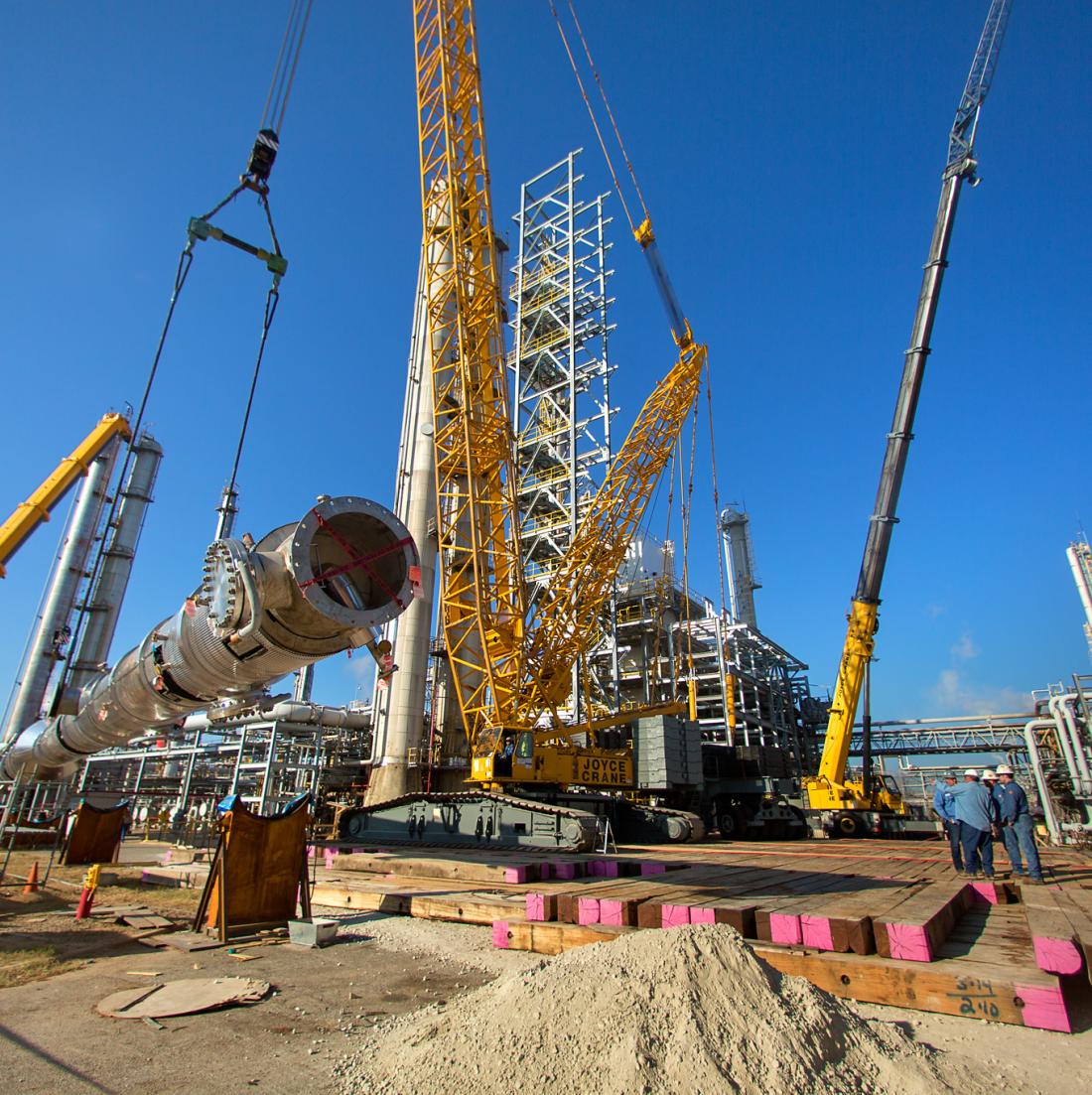 Work | Joyce Crane