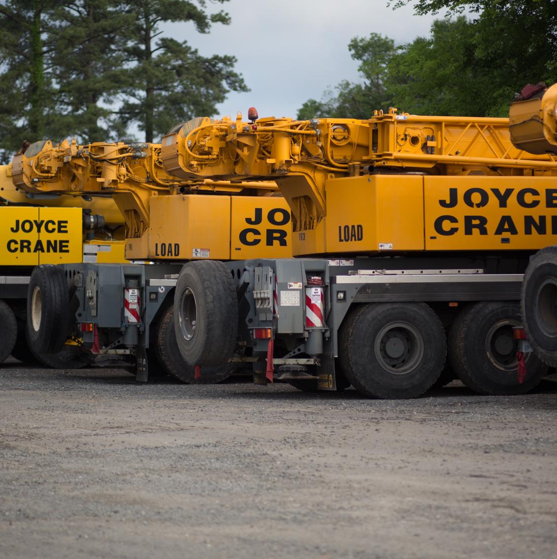 Work | Joyce Crane